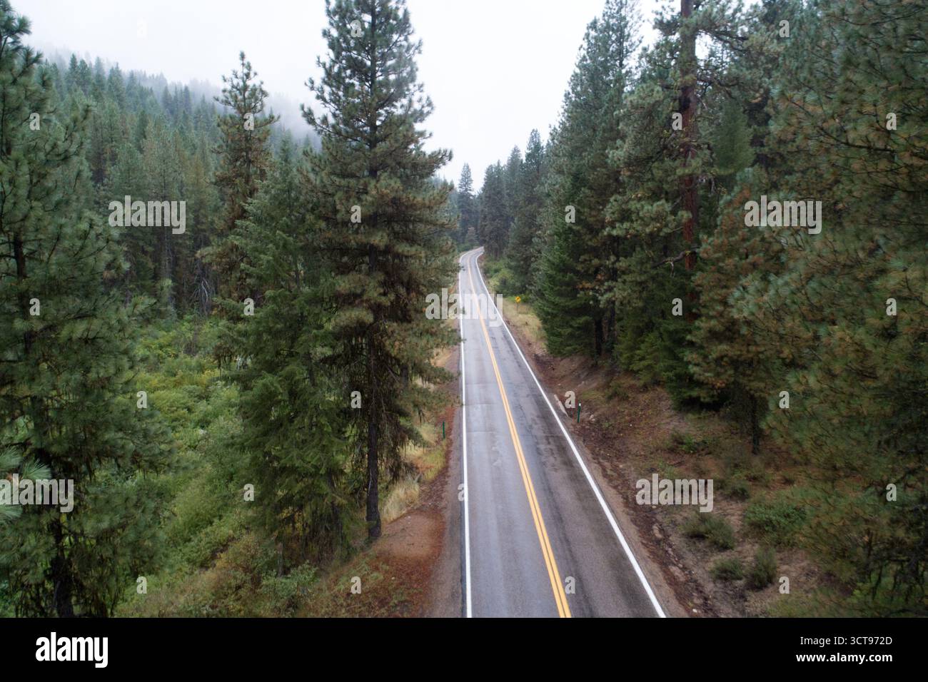A road with trees on both sides and a few cars on it Stock Photo - Alamy