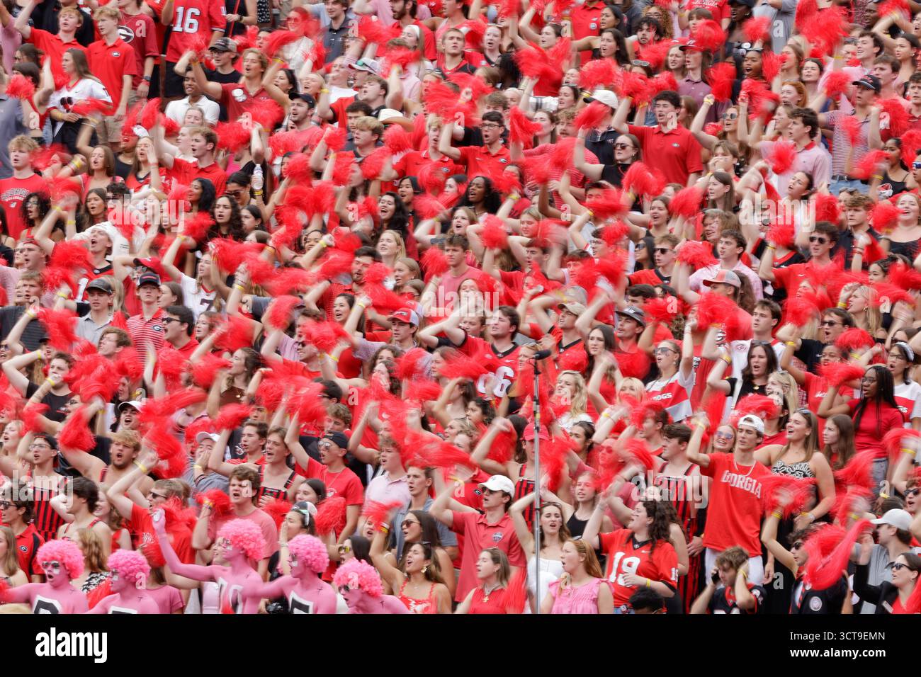 Georgia fans cheer on their team during an NCAA football game against ...