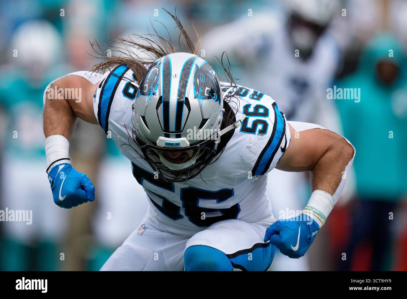 Carolina Panthers linebacker Christian Rozeboom celebrates after a ...
