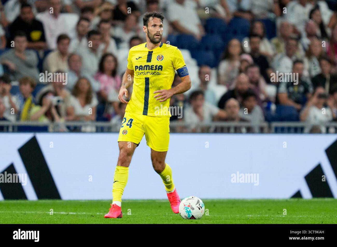 Alfonso pedraza villarreal 2025 hi-res stock photography and images - Alamy