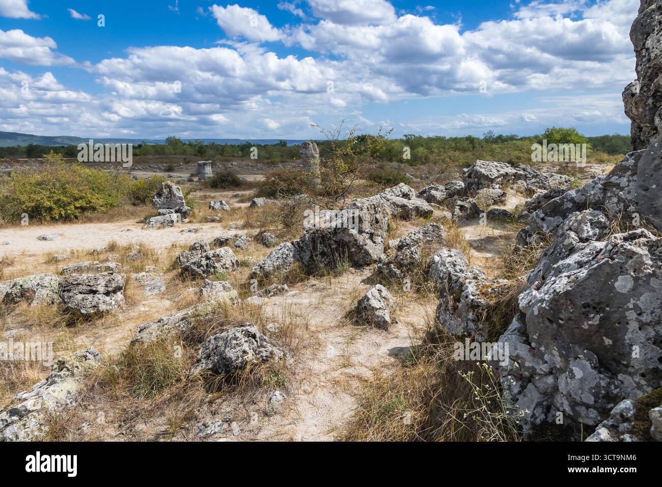 Pobiti Kamani - natural phenomenon also known as The Stone Forest in ...