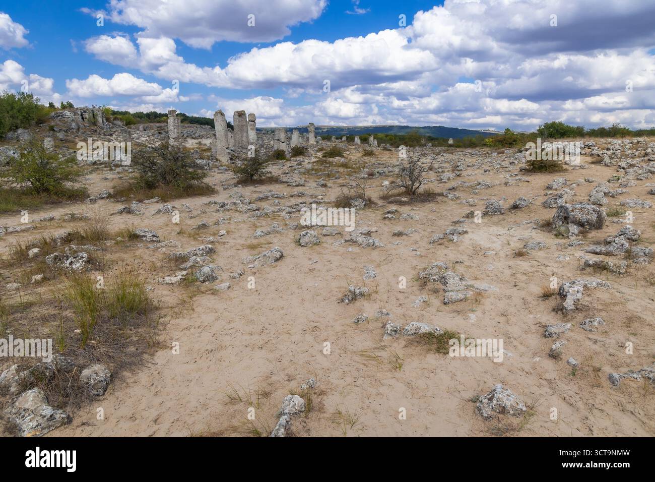 Aerial view of Pobiti Kamani - natural phenomenon called Stone Forest ...