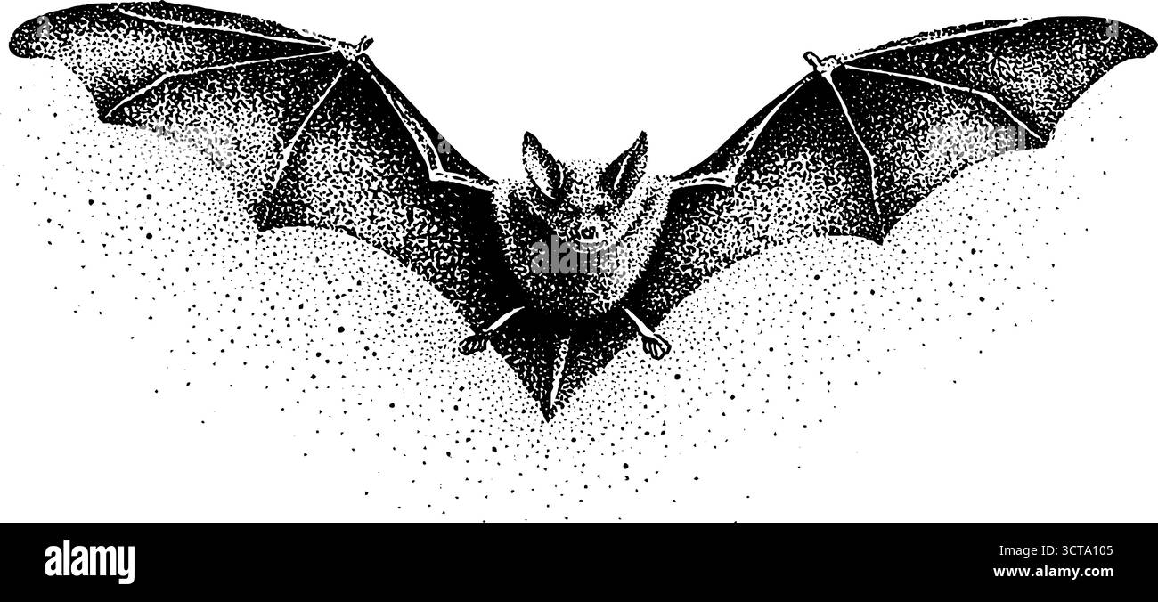 Detailed dotwork stippling depiction of a bat in flight with intricate ...
