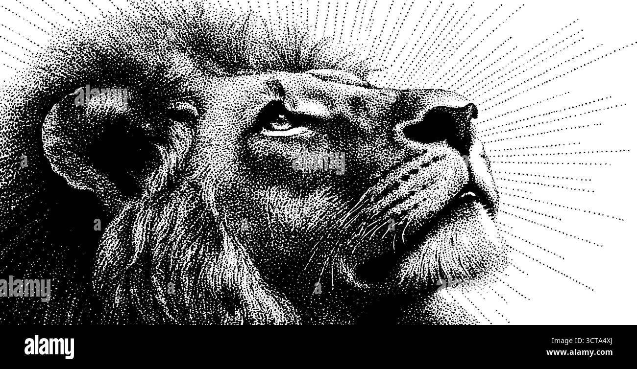 Majestic lion in detailed hi-res stock photography and images - Alamy