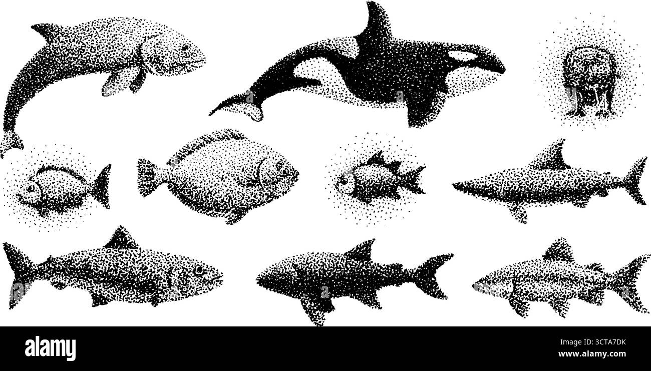 Detailed dotwork stippling illustration of marine life animals Stock ...