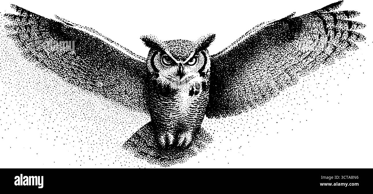 Intricate dotwork illustration of owl with spread wings in stipple ...