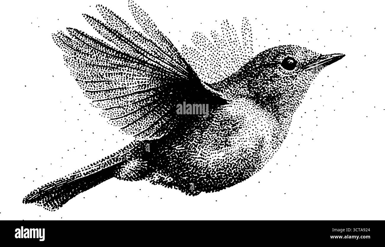 Detailed dotwork illustration of a bird in flight featuring stipple art ...