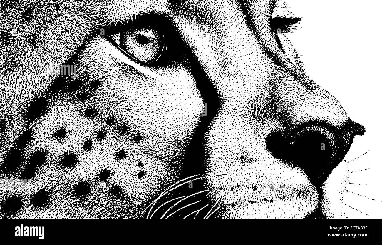 Stippled with black dots hi-res stock photography and images - Alamy