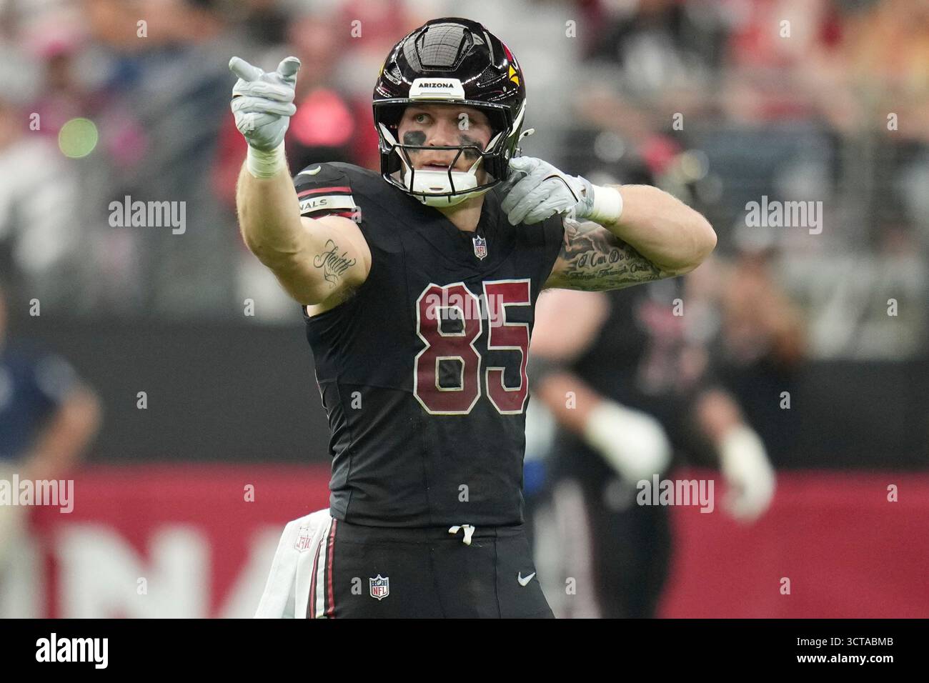Arizona Cardinals tight end Trey McBride (85) celebrates a first down ...