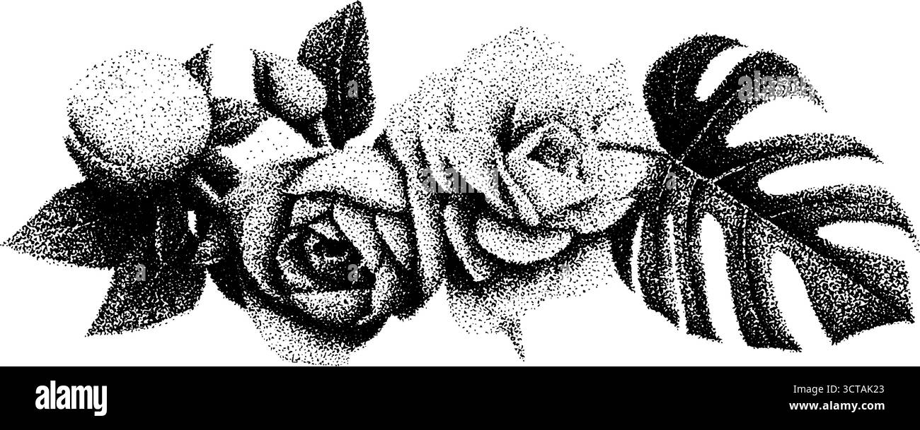 Intricate rose and peony stipple art design for prints and posters ...