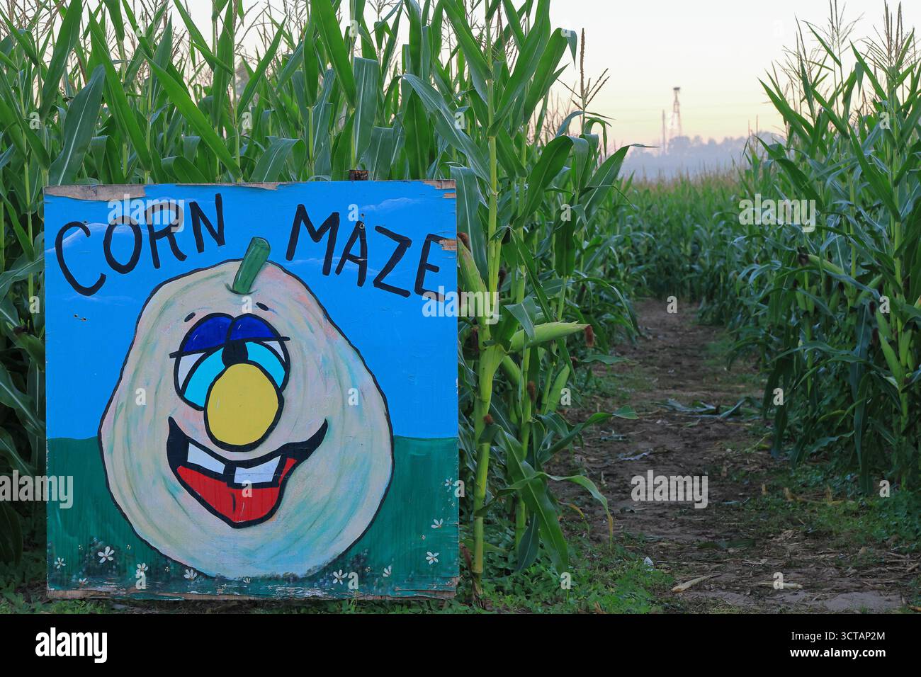 Corn maze for children and families to traverse and explore during the ...