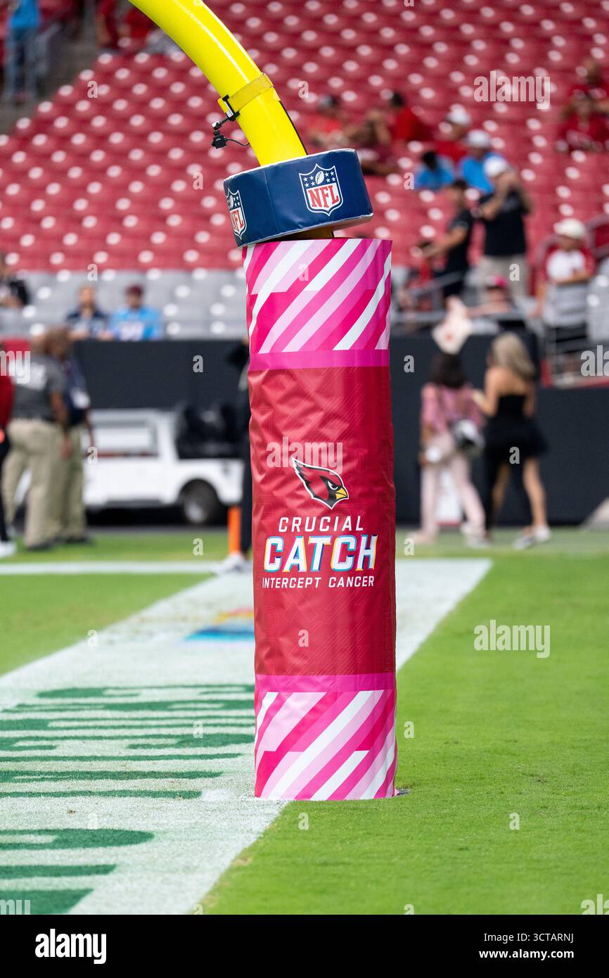 A goal post is decorated with a Crucial Catch logo for an NFL football ...