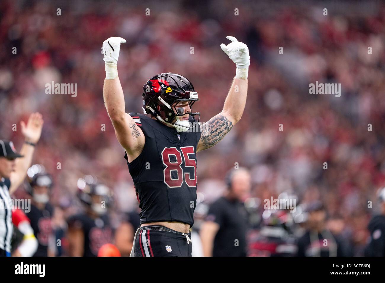 Arizona Cardinals tight end Trey McBride (85) celebrates a play in an ...
