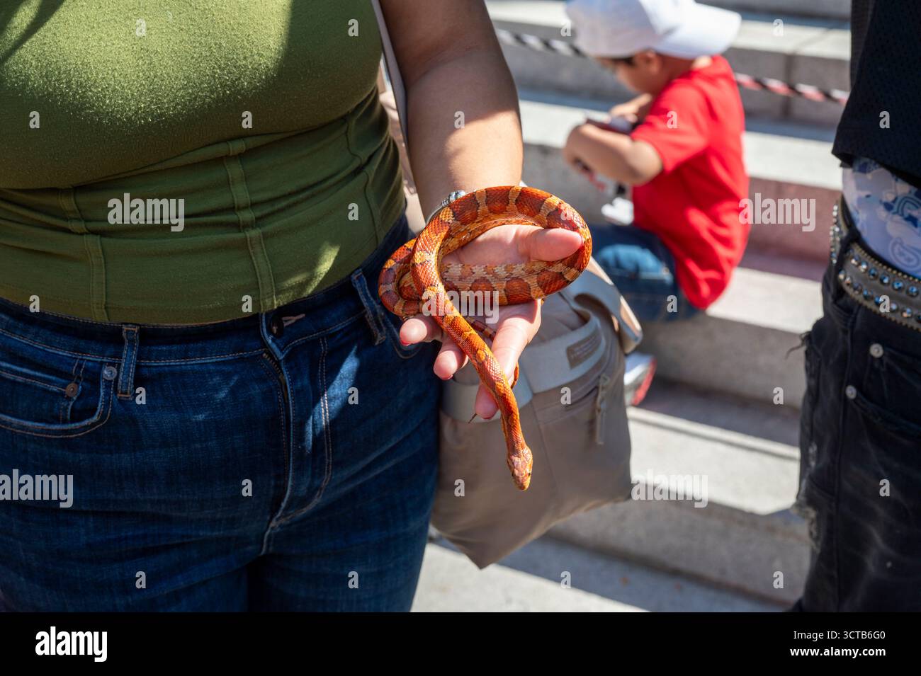 New York, United States. 05th Oct, 2025. A woman holds a snake at the ...