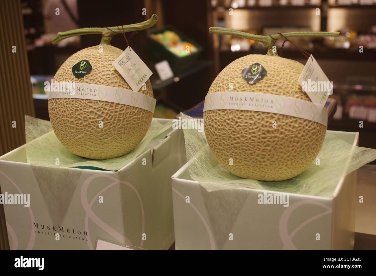 Pair of high-end musk melons on display in Tokyo, Japan Stock Photo - Alamy