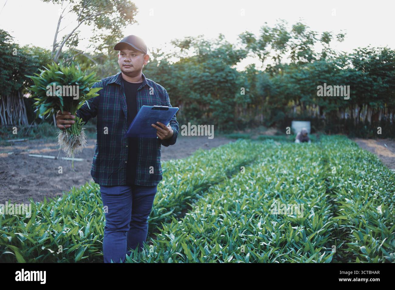 Professional local asian farmer hi-res stock photography and images - Alamy