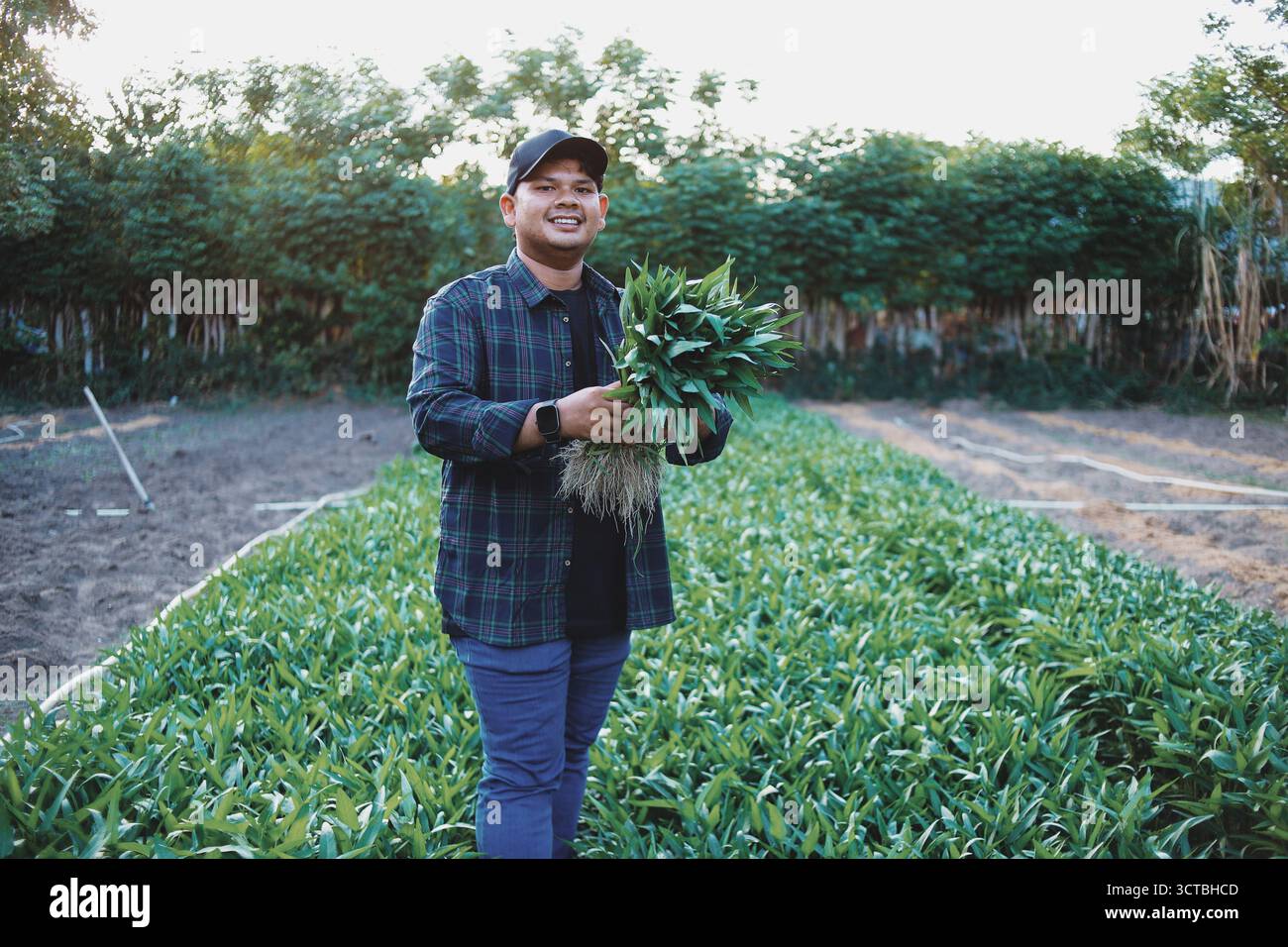 *Happy smart farmer holding fresh swamp Stock Photo - Alamy