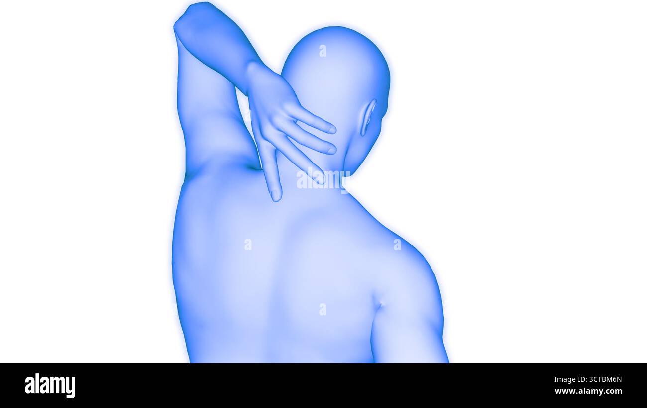 Human Body Suffering with Backpain Anatomy Stock Photo - Alamy