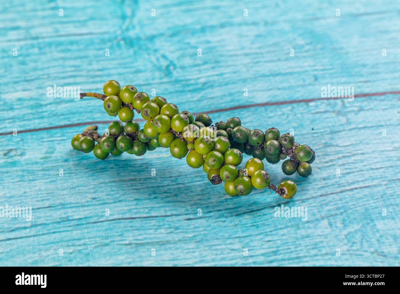 Ripe green pepper corn branch for cooking Stock Photo - Alamy