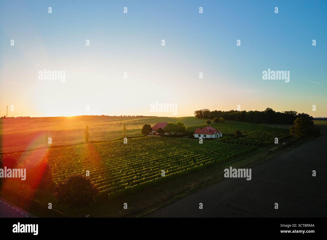 Aerial view of small family winery with vineyard rows and farmhouse in ...