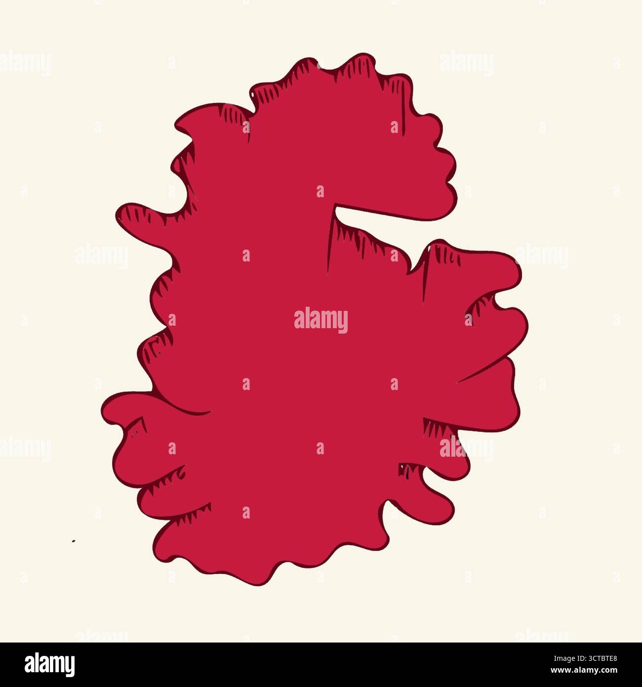red algae porphyra diagram biology science botany educational ...