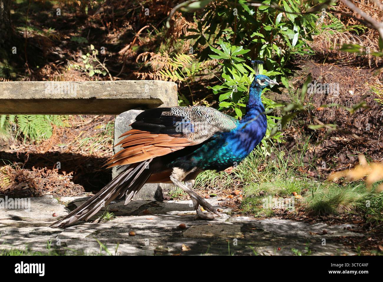 Furzebrook road hi-res stock photography and images - Alamy