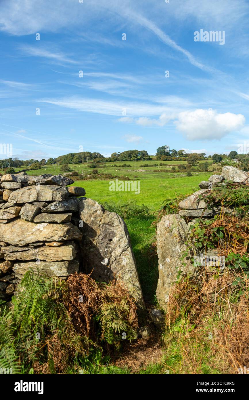 Stile hi-res stock photography and images - Alamy