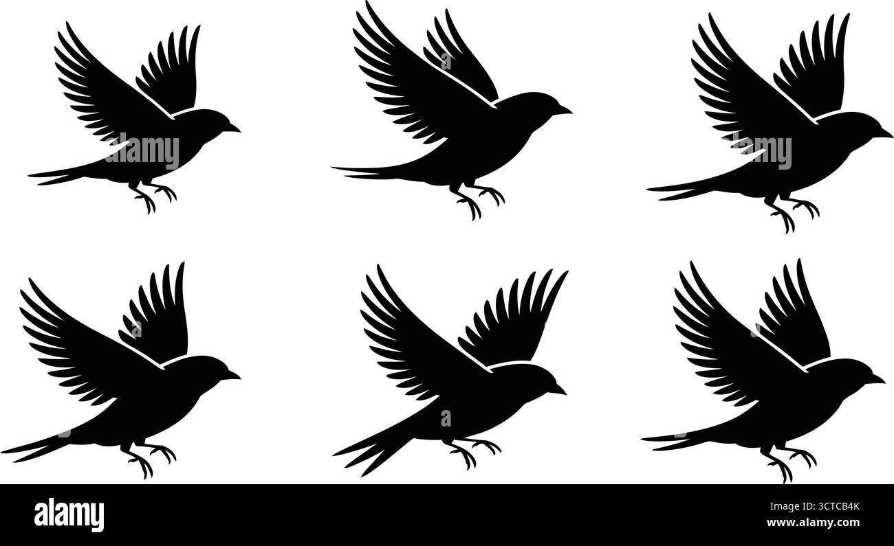 Black Silhouettes of Birds in Flight – Dynamic Wing Poses for Nature ...