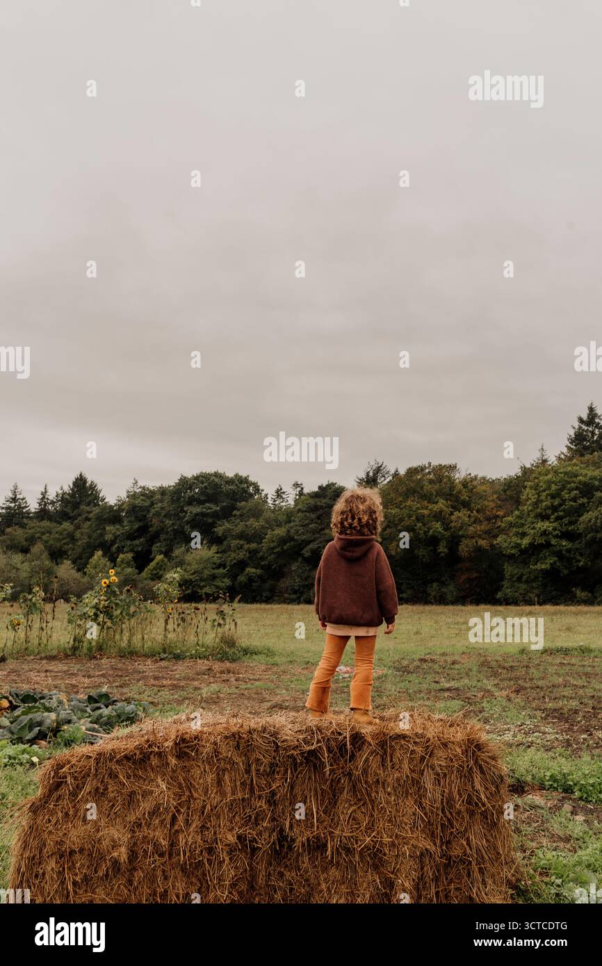 Child standing on a hay bale in a grassy field under clouds Stock Photo ...