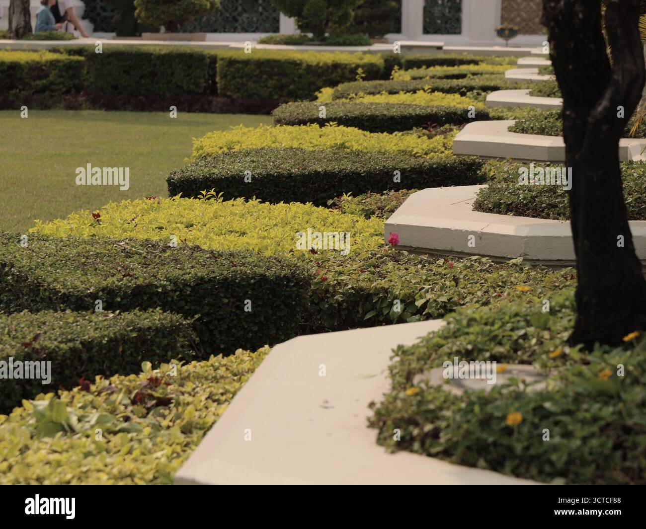 Curved hedges hi-res stock photography and images - Alamy