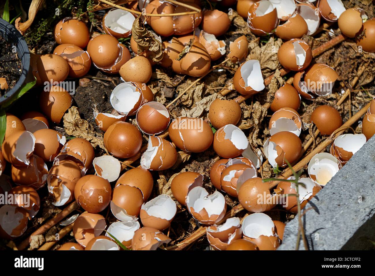 Minerals and waste hi-res stock photography and images - Alamy