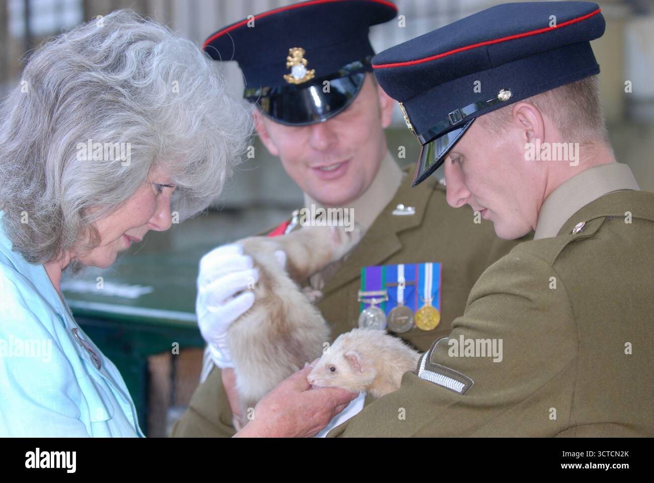 Jilly Cooper with soldiers from the Royal Yorkshire Regiment and their ...