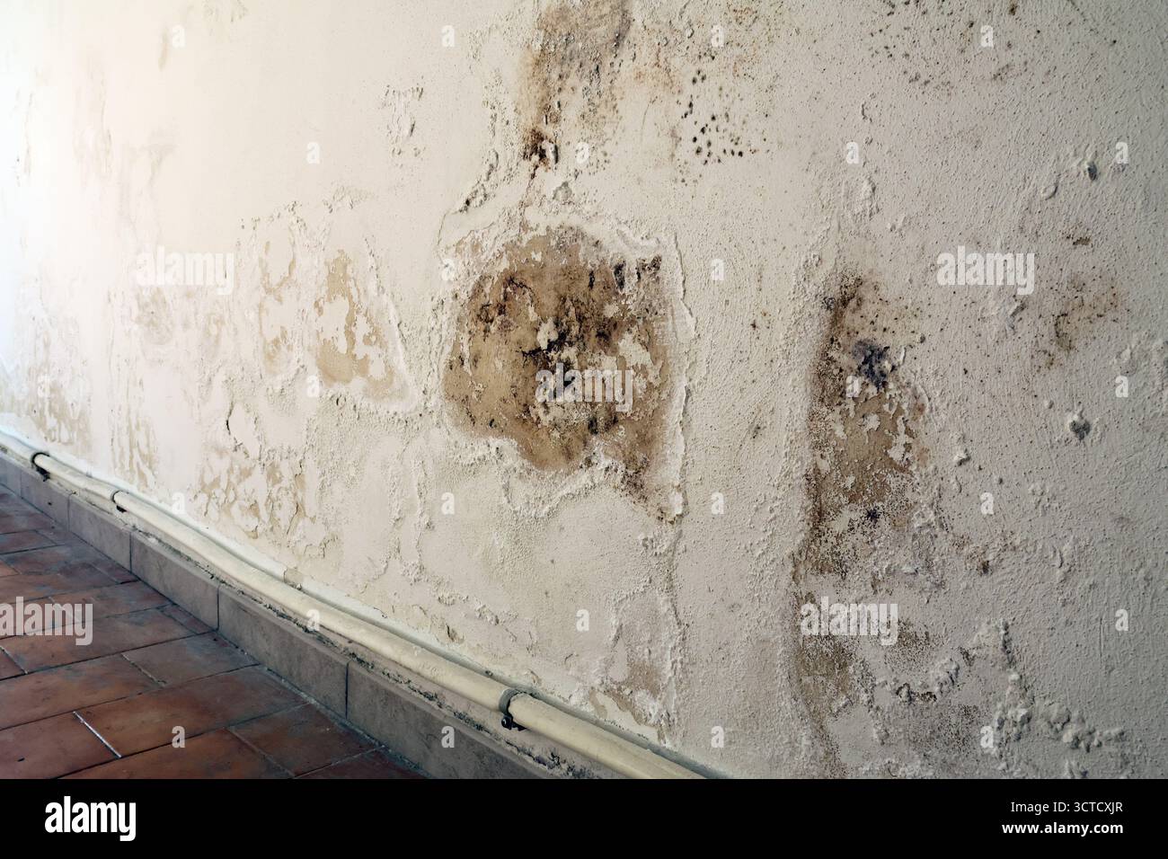Severely Damaged Wall with Damp Stains and Saltpeter Efflorescence ...