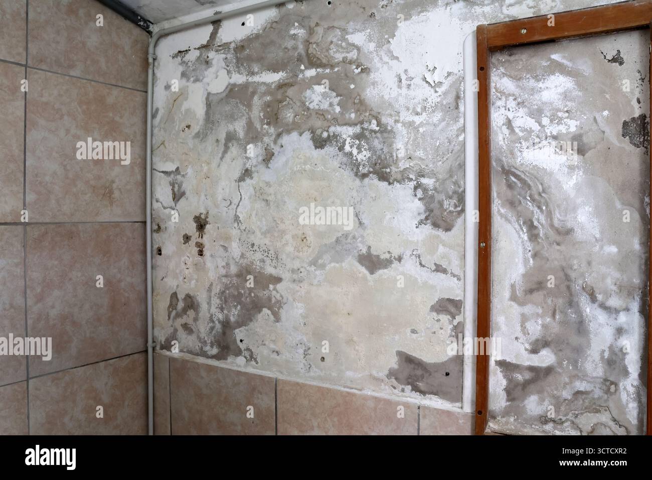 Severely Damaged Wall with Damp Stains and Saltpeter Efflorescence ...