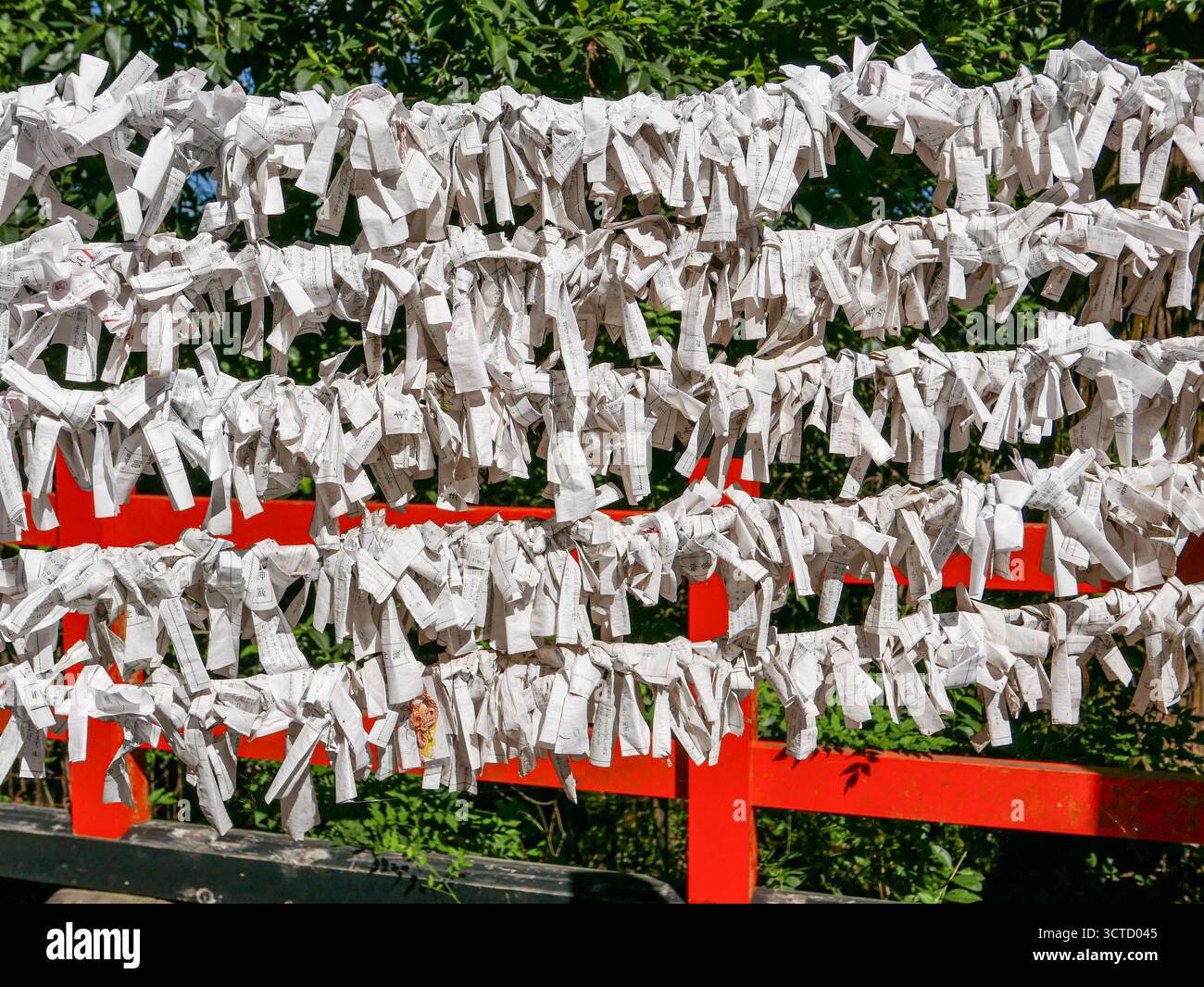 Japan, Kyoto: Omikuji, fortune-telling papers. During the first visit ...