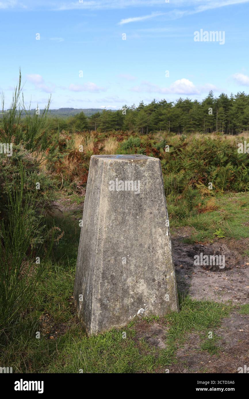 Trig point, Woolsbarrow Hillfort, Bloxworth Heath, Wareham Forest ...