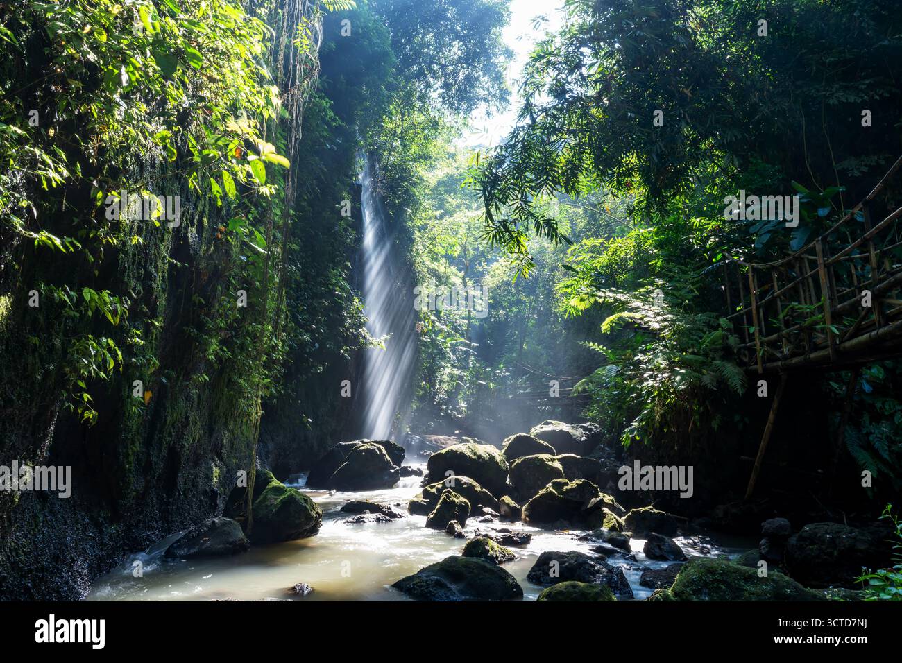 Sunbeam in a tropical jungle canyon in Ubud Bali Indonesia Stock Photo ...