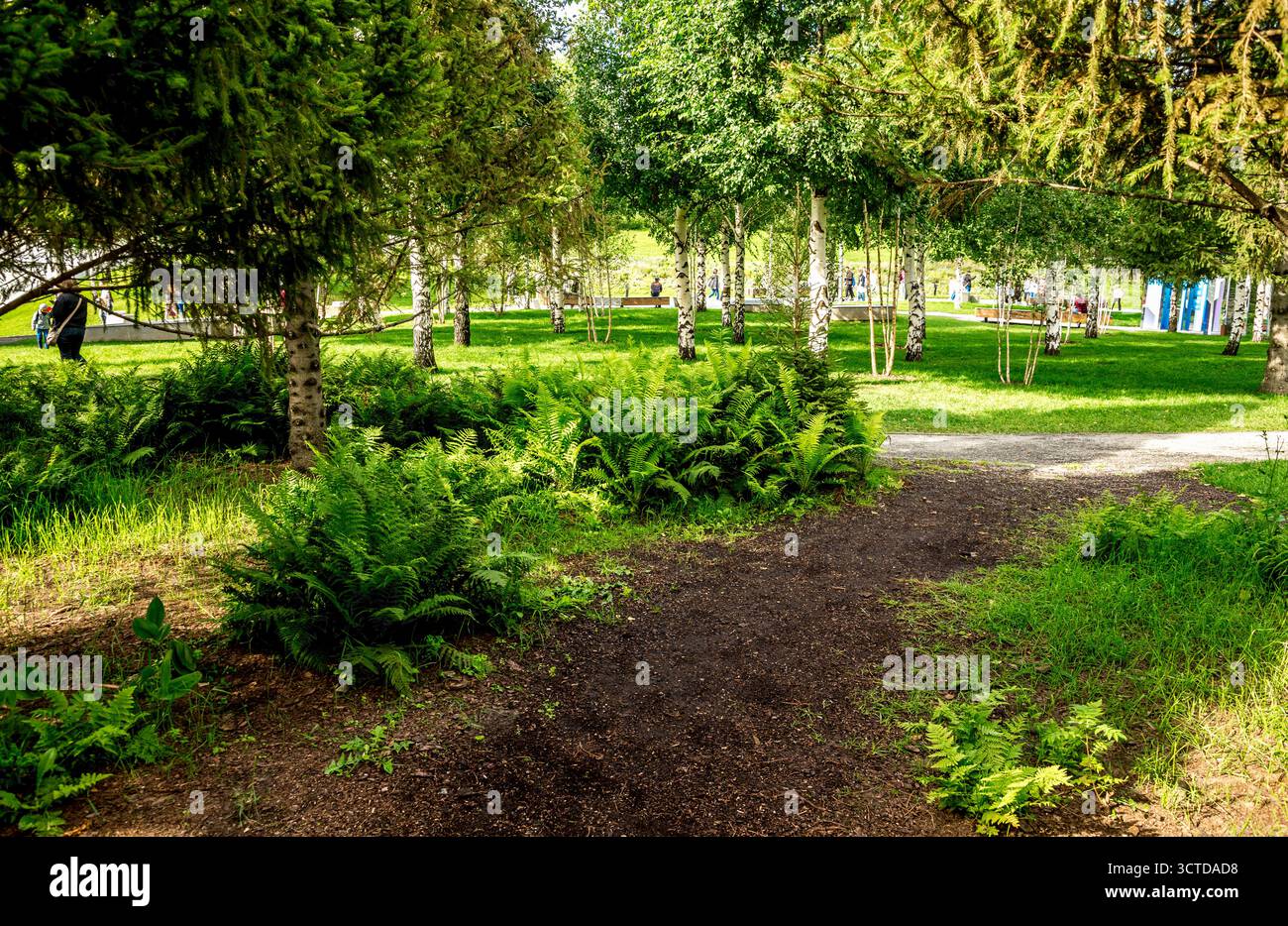 Peaceful Zaryadye Park Path Surrounded by Ferns and Greenery in Sunlit ...