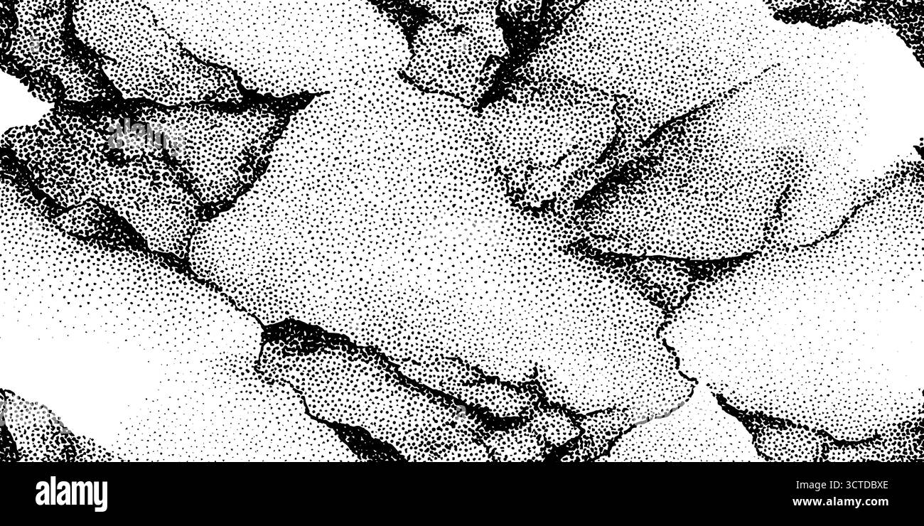 Intricate dotwork stipple texture of eroded stone pattern for art and ...