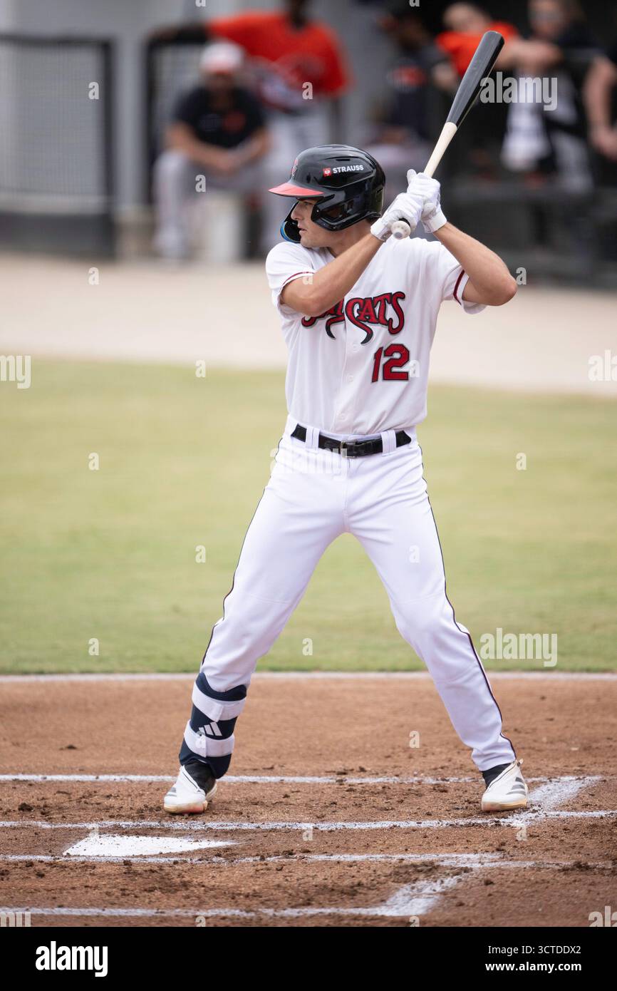 Brady Ebel (12) of the Carolina Mudcats at bat during a Carolina League ...
