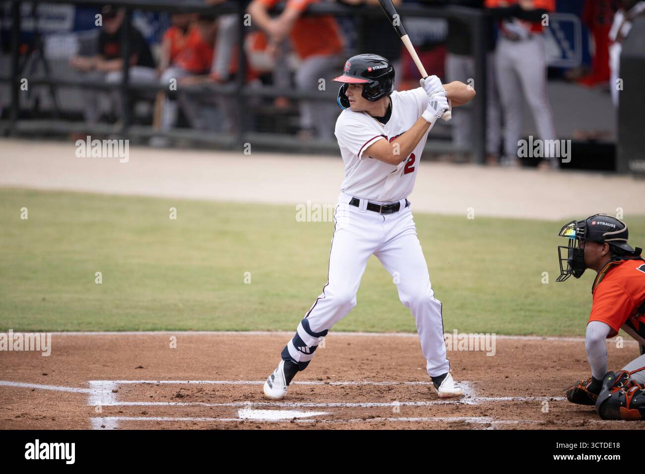 Brady Ebel (12) of the Carolina Mudcats at bat during a Carolina League ...