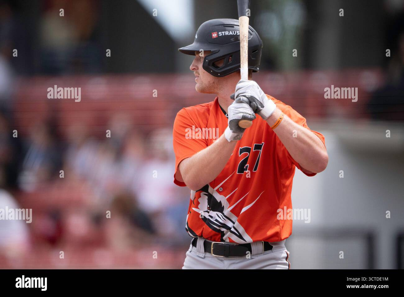 Ike Irish (27) of the Delmarva Shorebirds at bat during a Carolina ...