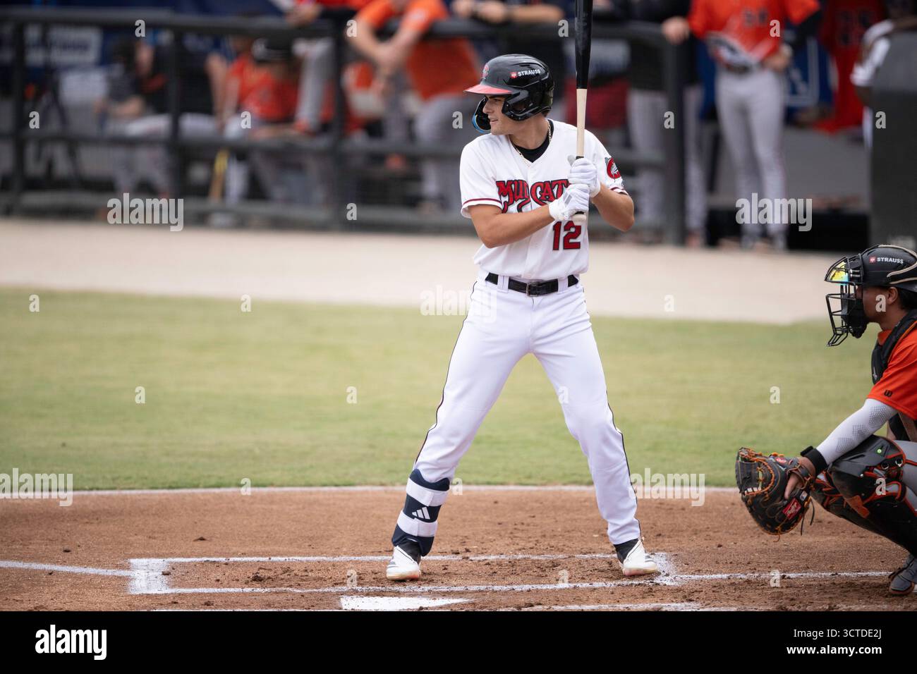 Brady Ebel (12) of the Carolina Mudcats at bat during a Carolina League ...
