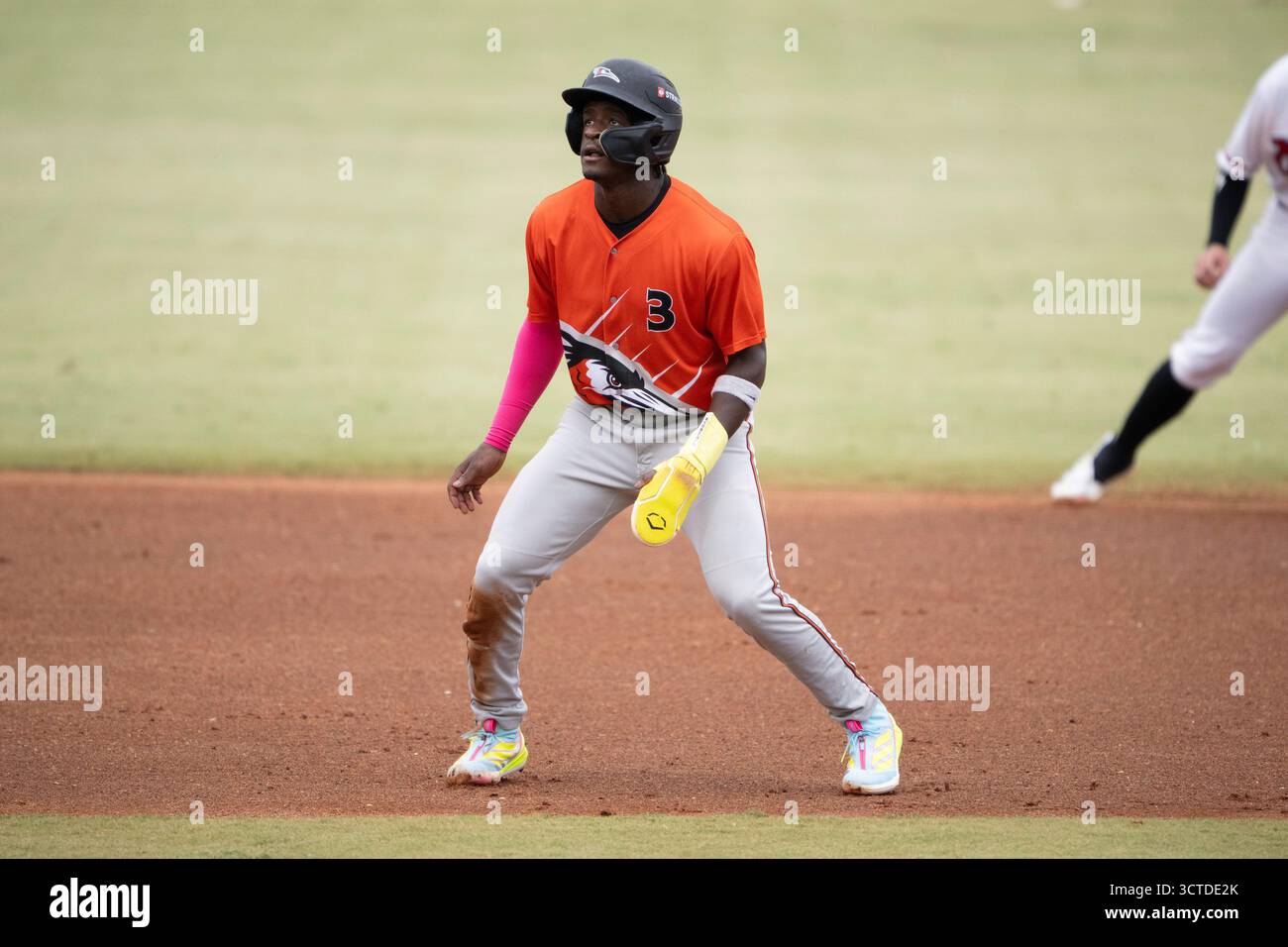 RJ Austin (3) of the Delmarva Shorebirds takes his lead off of second ...