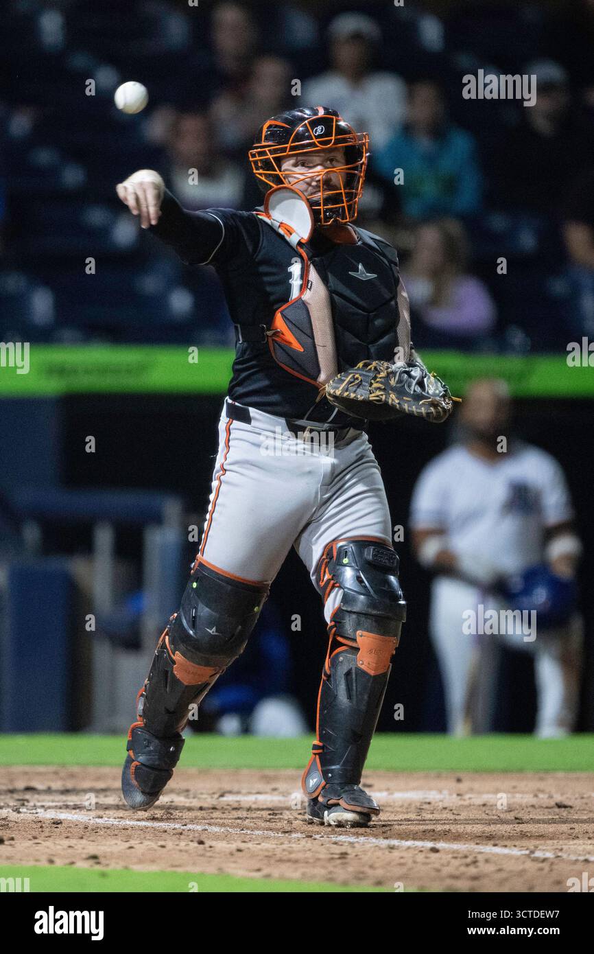 Catcher Maverick Handley (14) of the Norfolk Tides in action during an ...