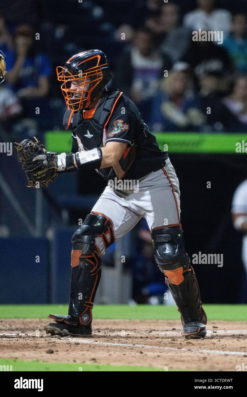 Catcher Maverick Handley (14) of the Norfolk Tides in action during an ...