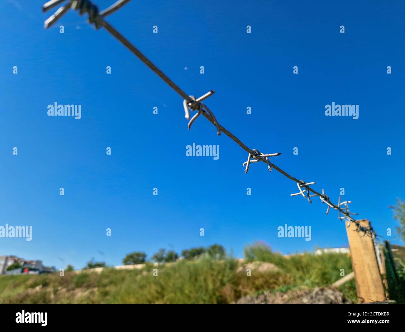 Barbed wire, blue sky. Barbed wire on green field and blue sky ...