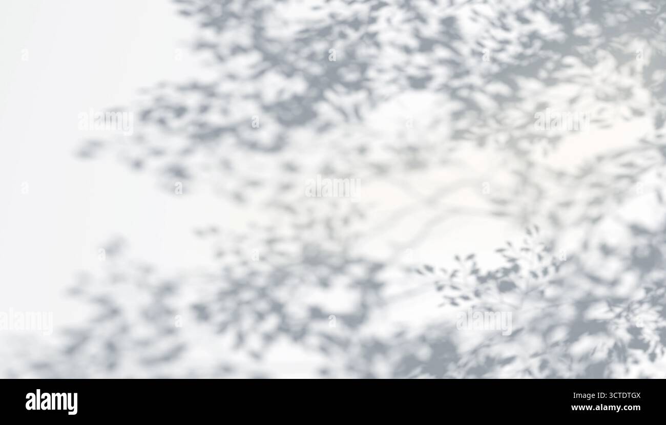 Abstract shadow tree crown branches on wind background, 3d rendering ...