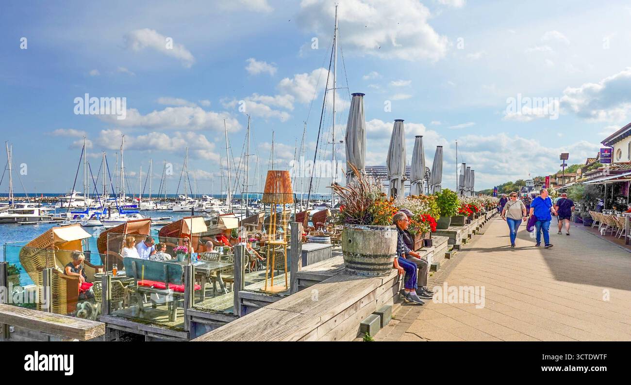 Strandkörbe mit Urlauber - gesehen am 16.09.2025 am Yachthafen ...