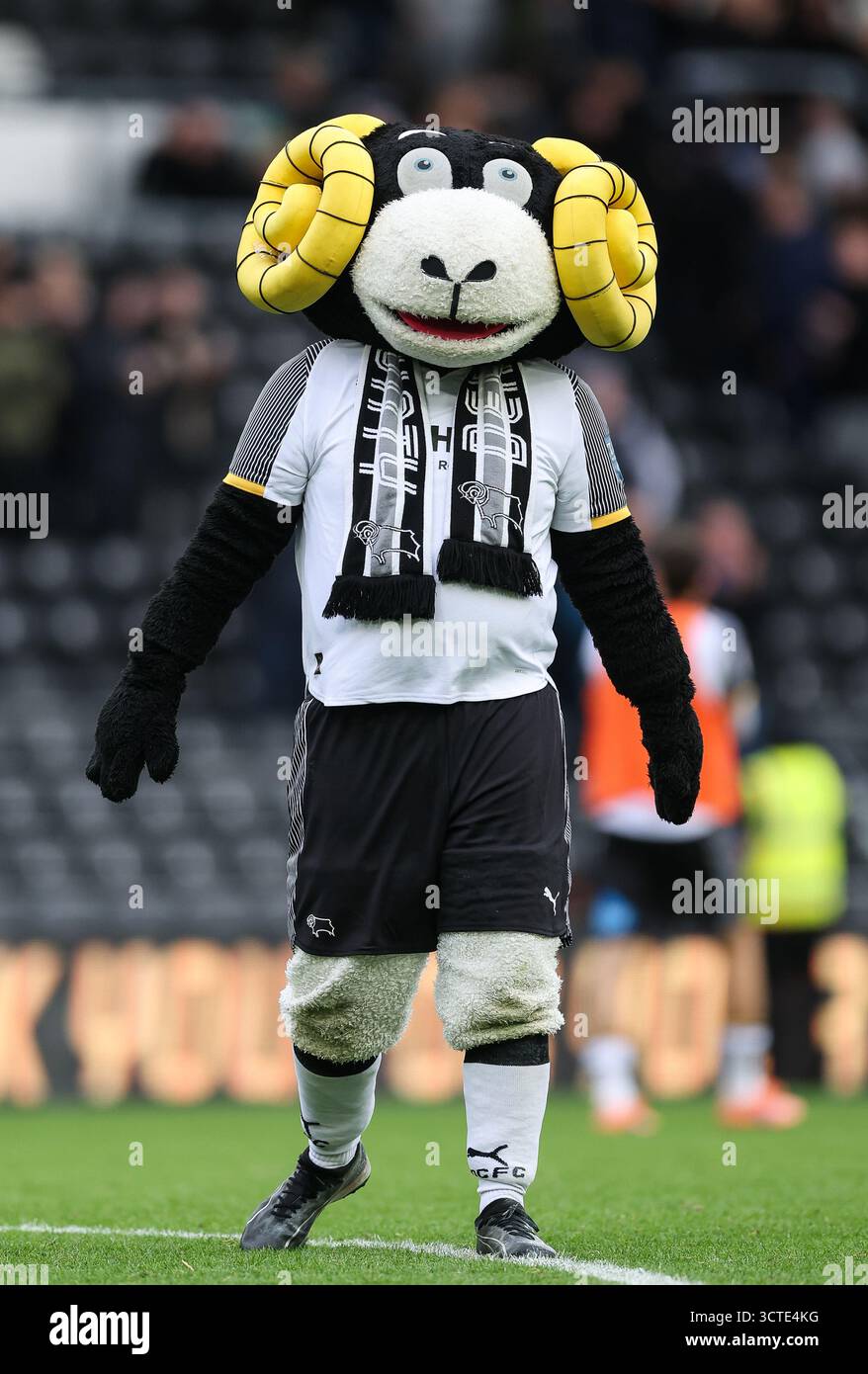 Derby County mascot Rammie after the Sky Bet Championship match at ...